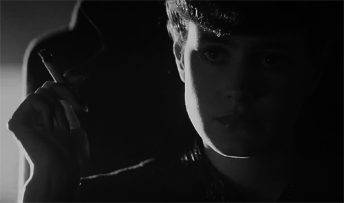 Sintéticos – Alf Gauna